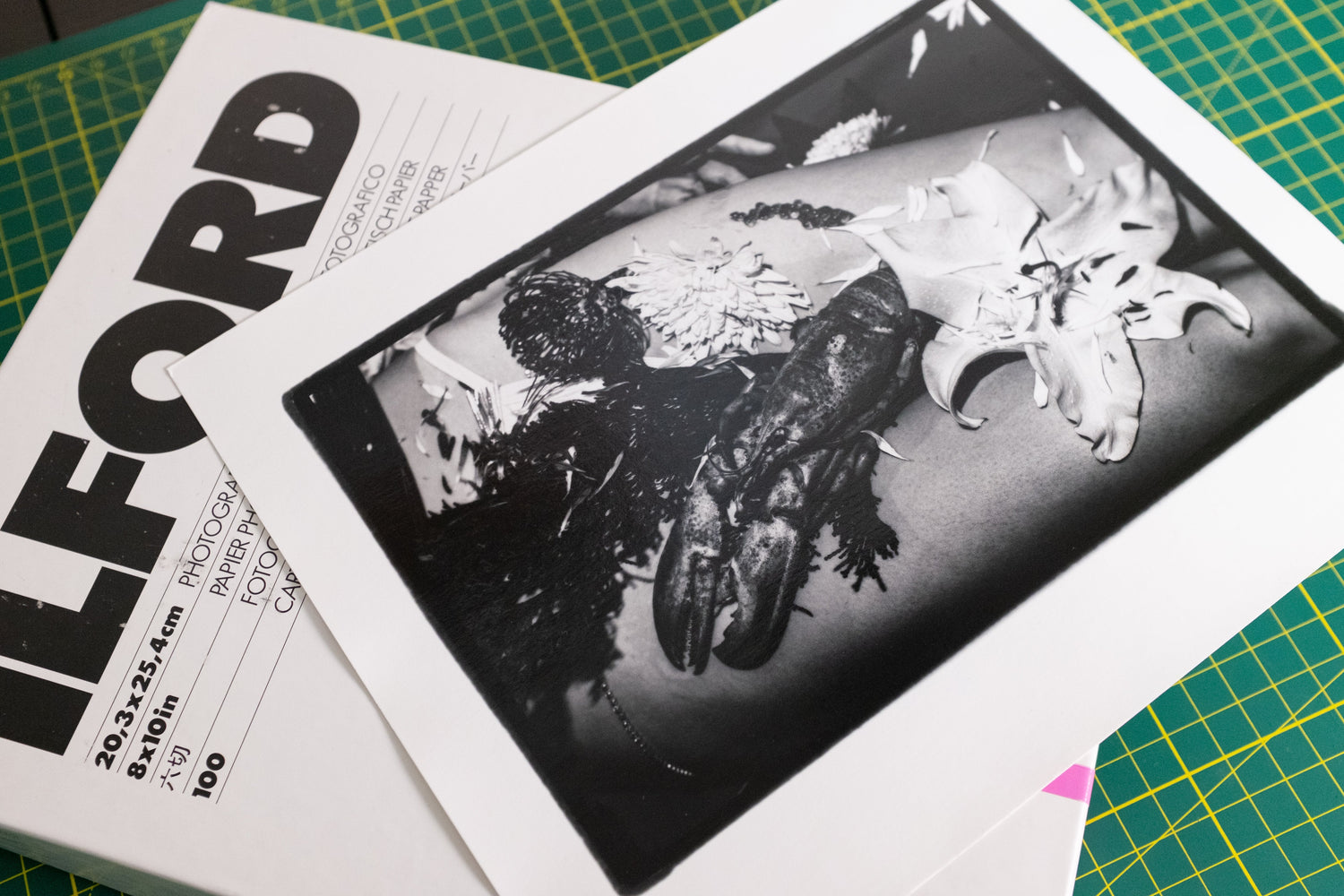 How to Print Digital Camera Photos in the Darkroom: The Ultimate Guide ...